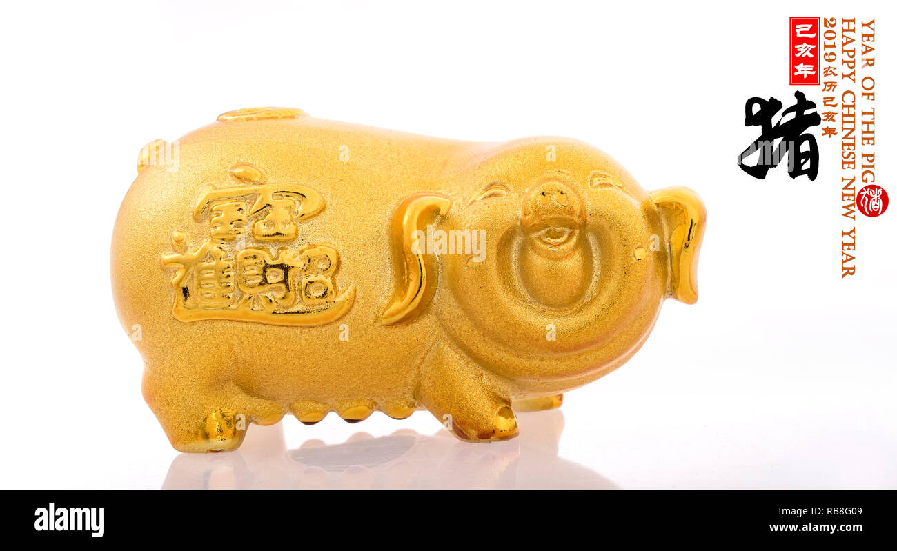 gold piggy bank,Chinese black characters translation: "pig".left side ...