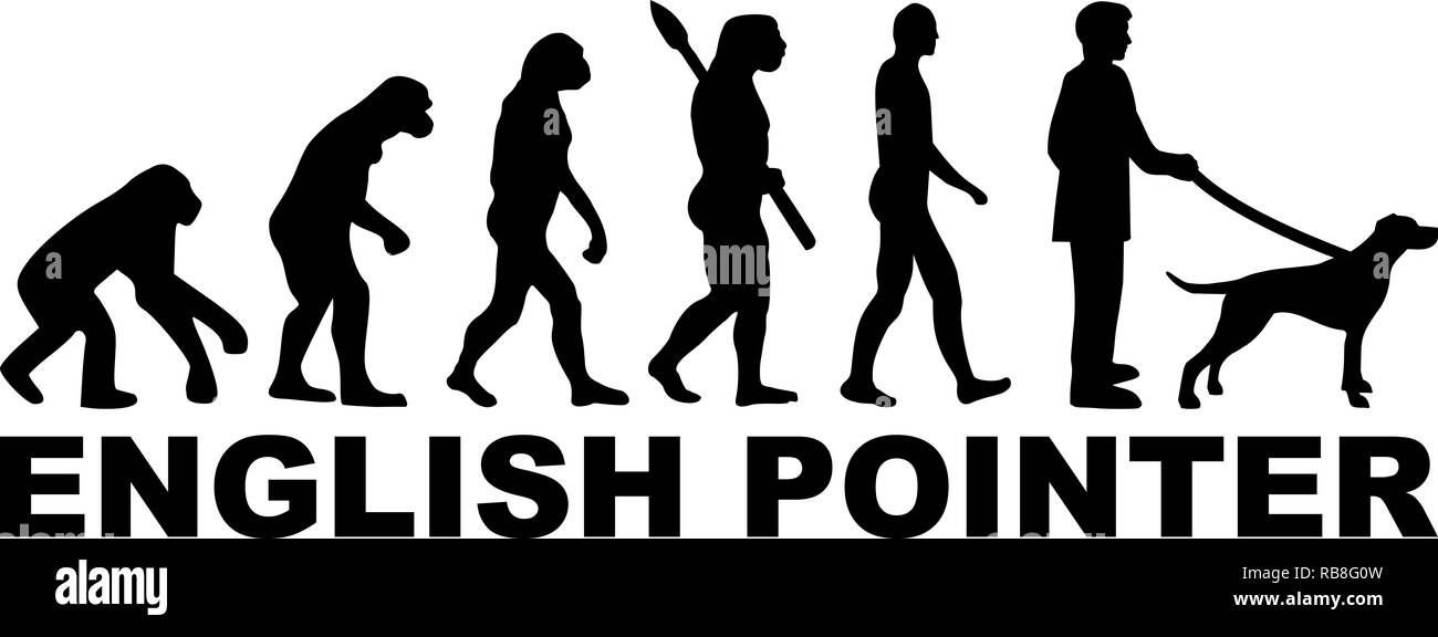 English Pointer evolution with word in black Stock Photo - Alamy