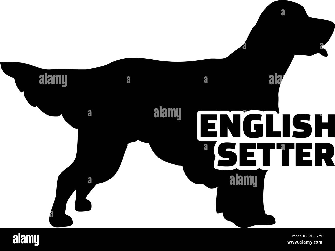 English setter puppy hi-res stock photography and images - Alamy