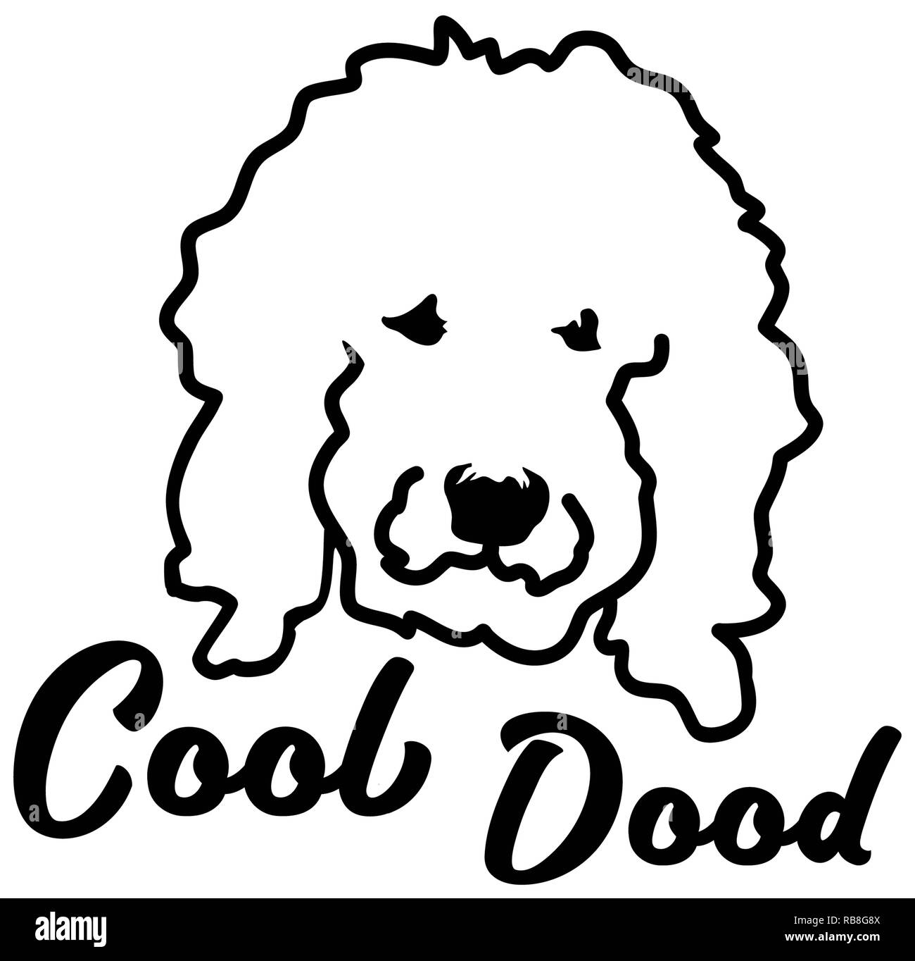Goldendoodle cool dood face in white Stock Photo - Alamy