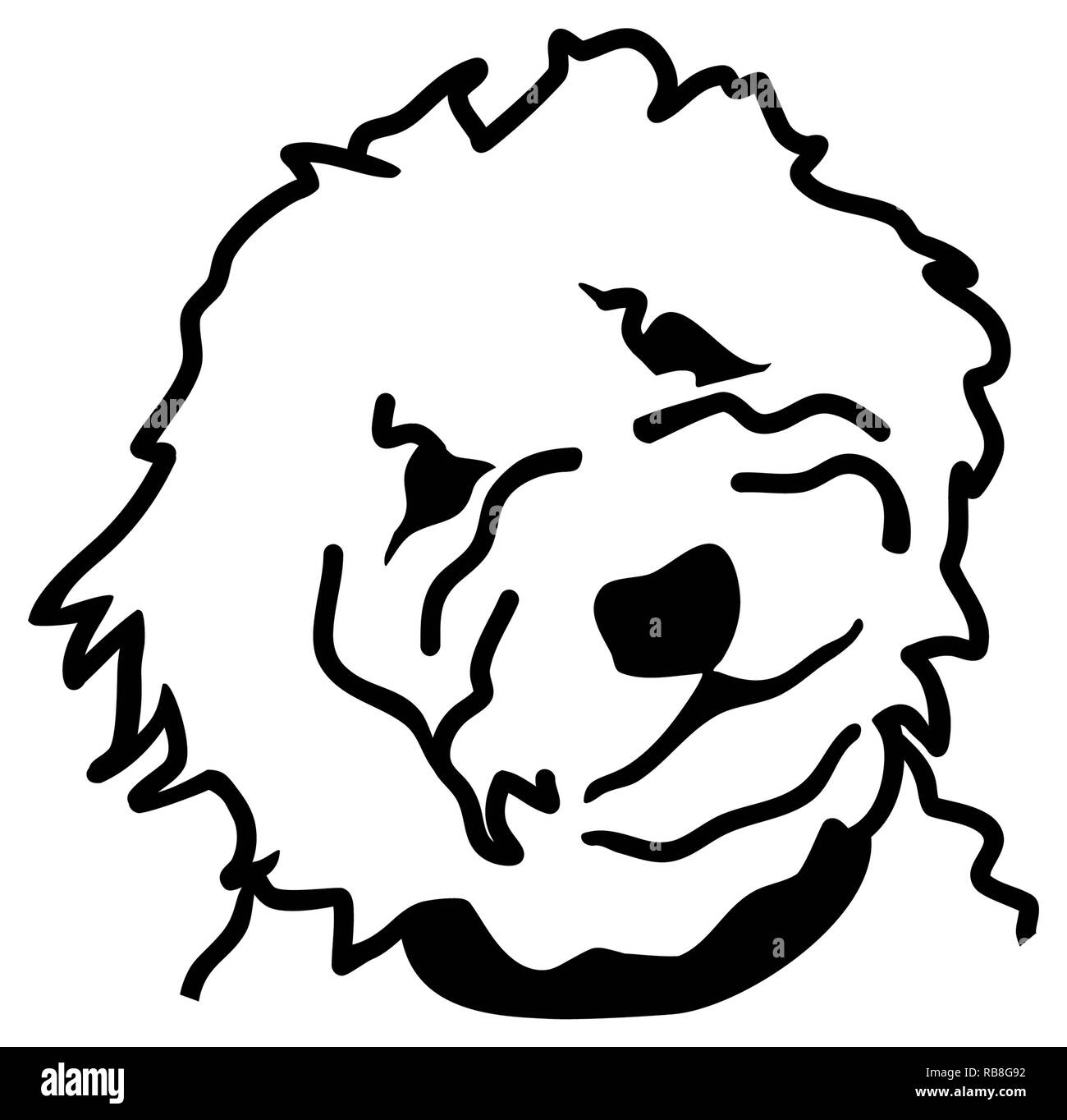 Goldendoodle head Cut Out Stock Images & Pictures - Alamy