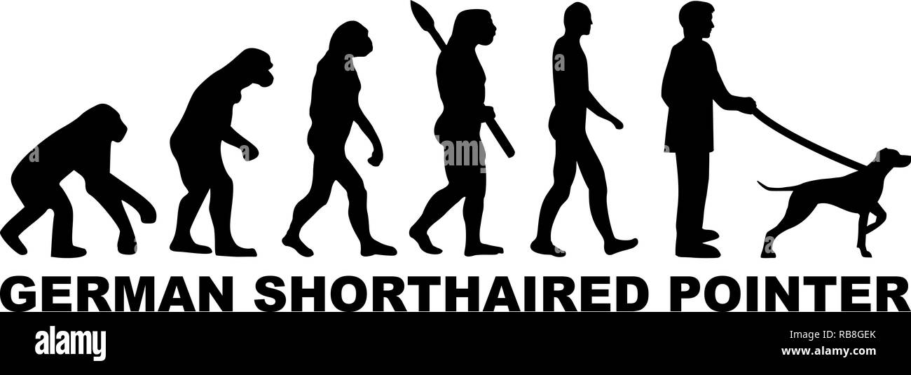 German shorthaired pointer evolution with words Stock Photo - Alamy