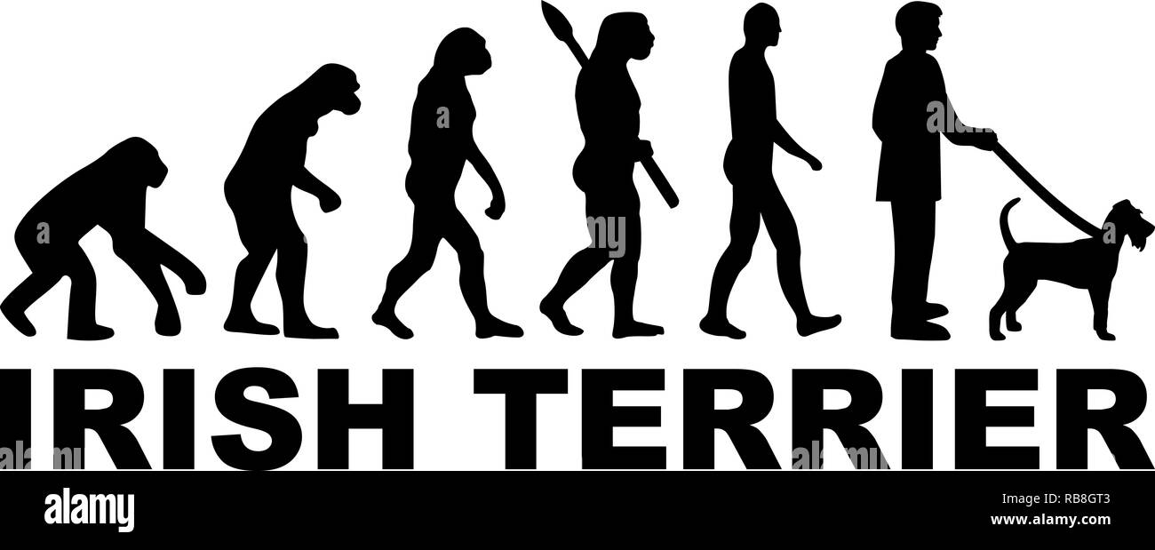 Irish evolution hi-res stock photography and images - Alamy