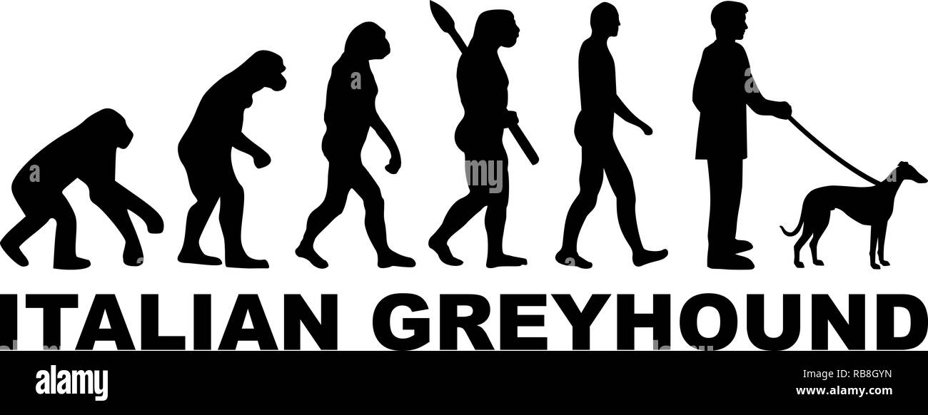 Italian Greyhound evolution with word in black Stock Photo - Alamy