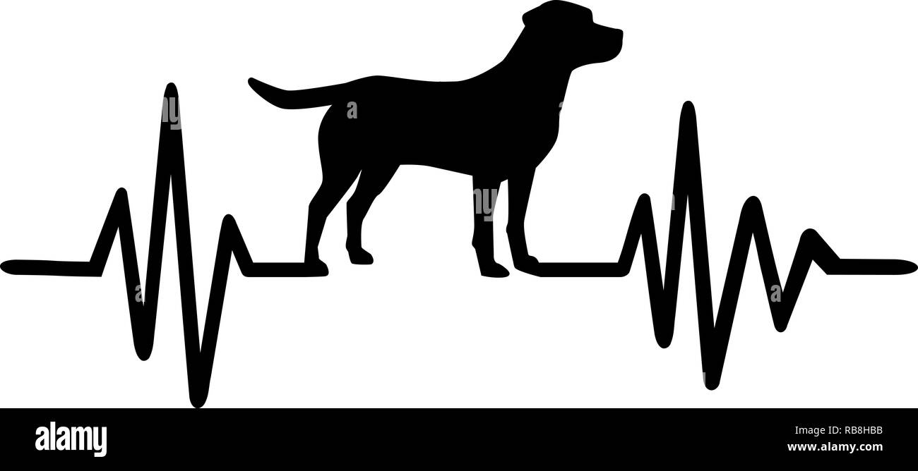 Heartbeat pulse line dog with labrador silhouette black Stock Photo - Alamy