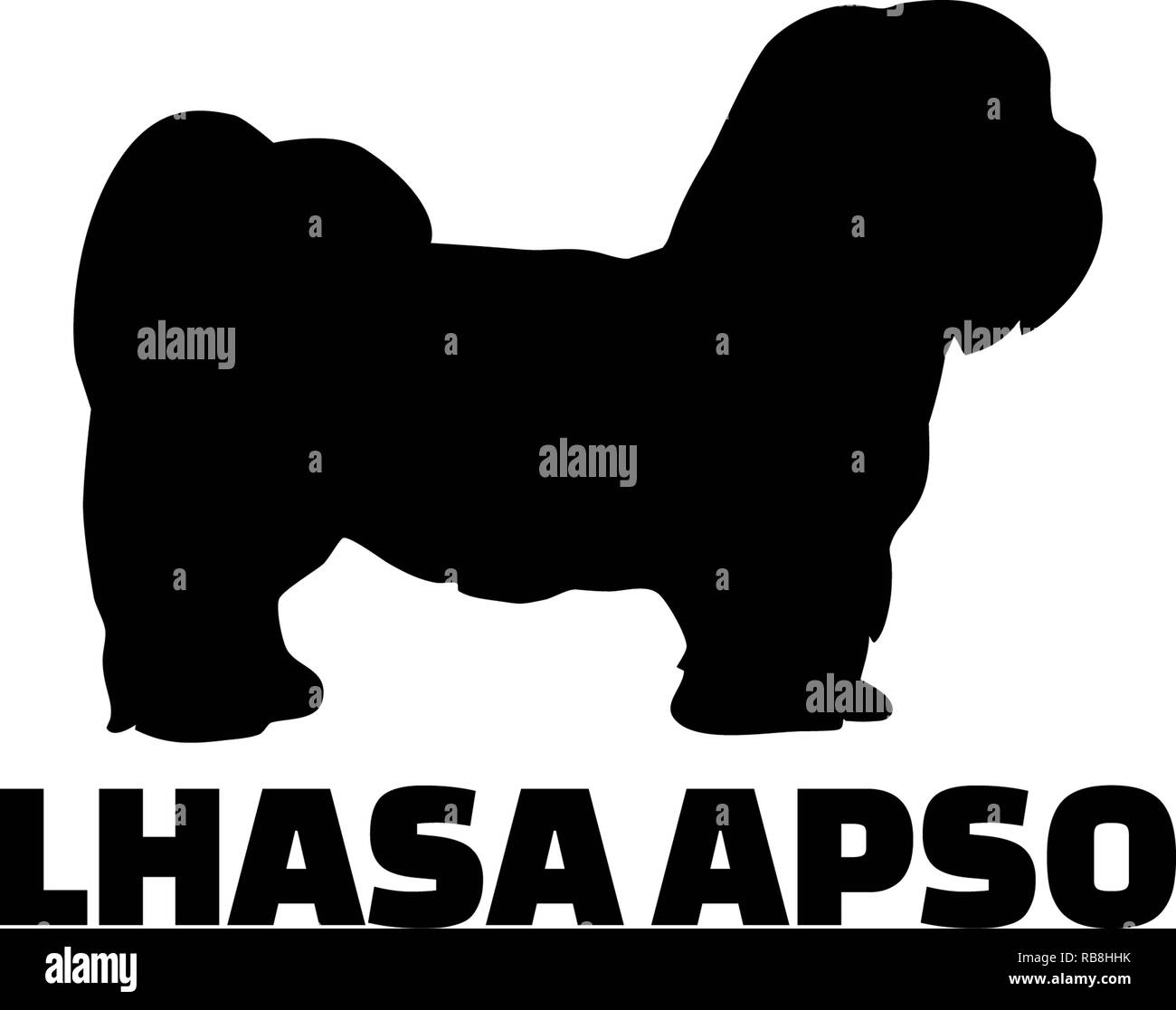 Lhasa Apso silhouette real with word Stock Photo - Alamy