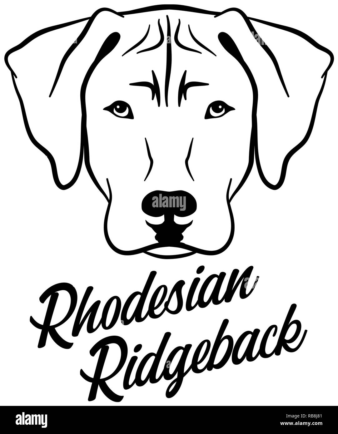 Rhodesian Ridgeback head with name Stock Photo - Alamy