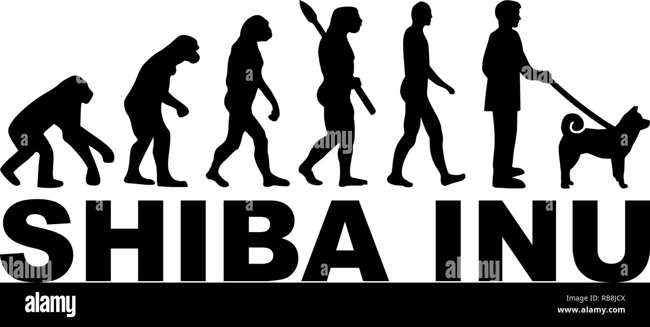 Shiba inu evolution with word Stock Photo - Alamy