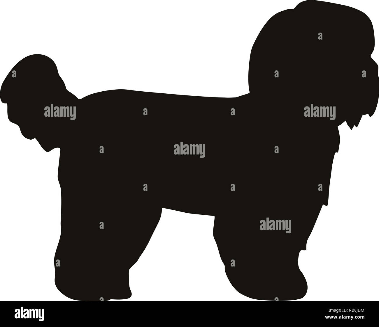 Shih tzu silhouette hi-res stock photography and images - Alamy