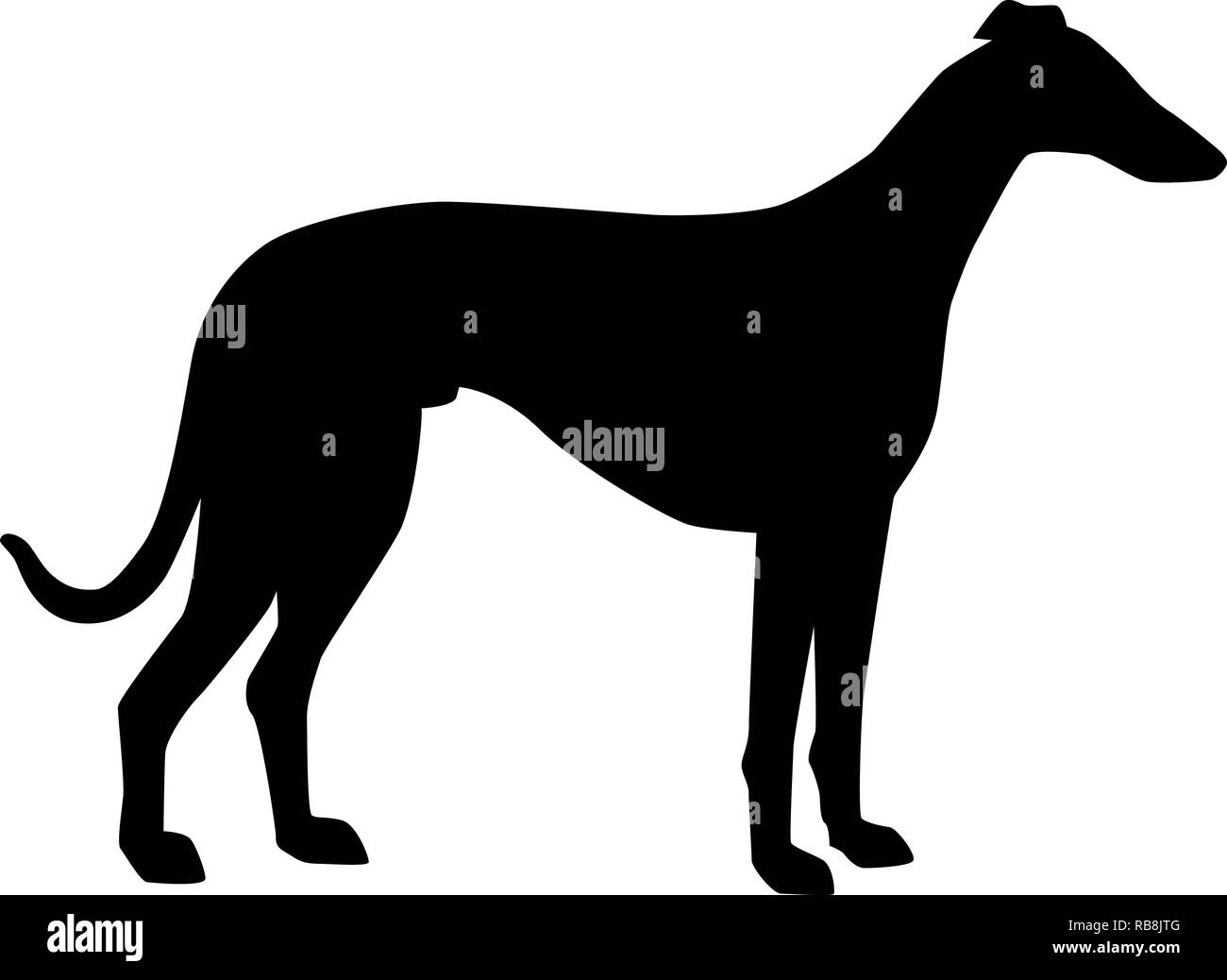 Whippet Cut Out Stock Images & Pictures - Alamy