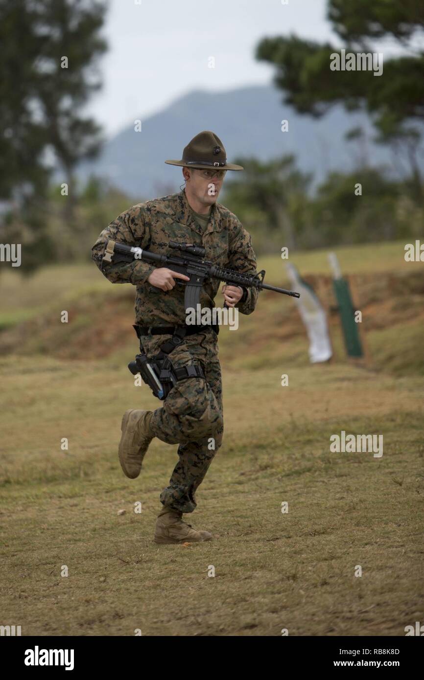 Ciap hi-res stock photography and images - Alamy