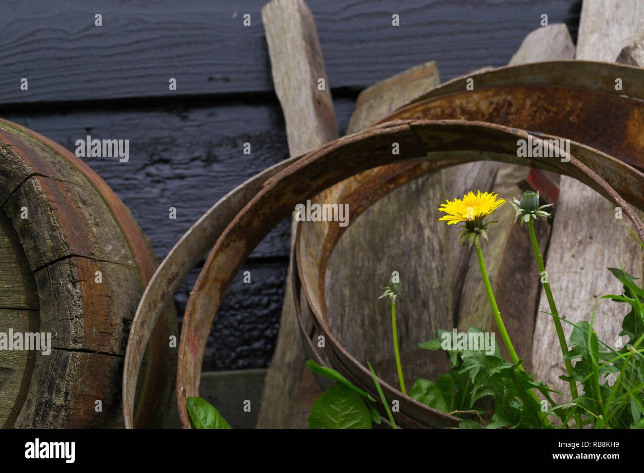 Broken cask hi-res stock photography and images - Alamy