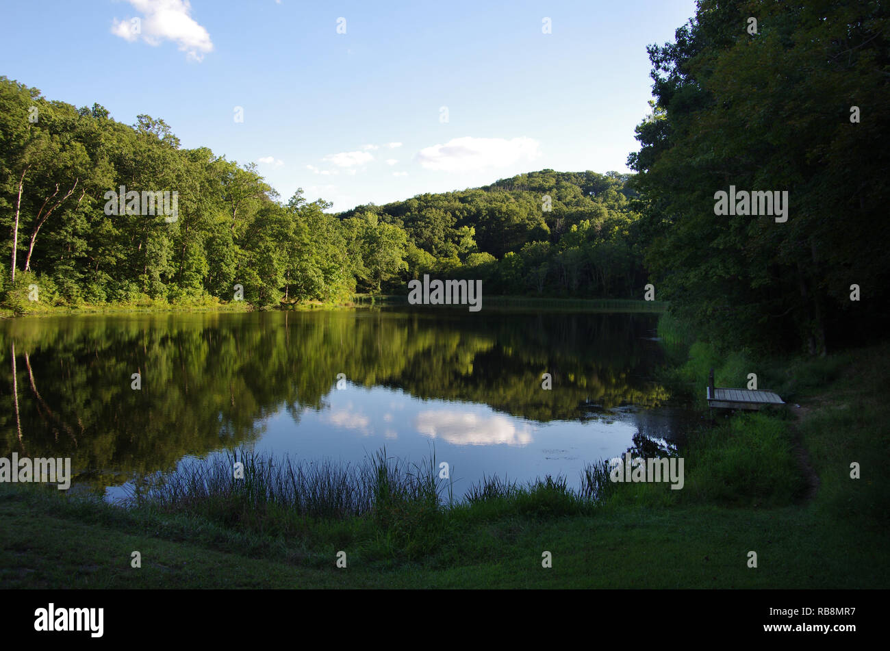 Lake surrounded greenery reflecting hi-res stock photography and images ...