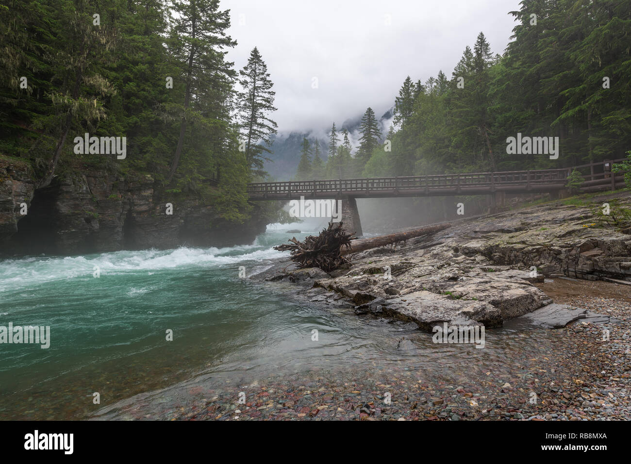 Mountain River Bridge in Montana, USA. Glacier National Park Stock ...