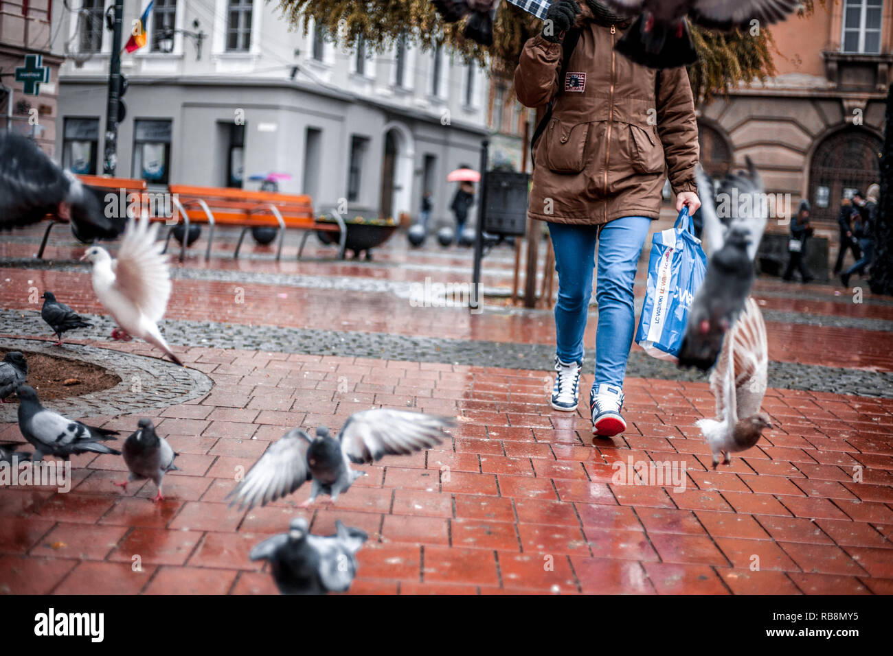 Running through pigeons Stock Photo - Alamy