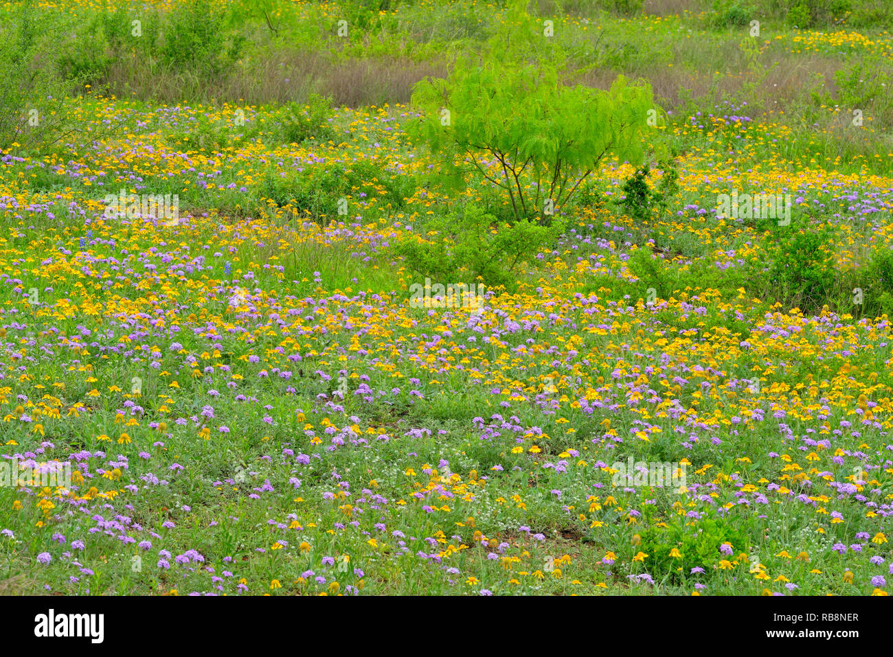 Mixed use fields hi-res stock photography and images - Alamy