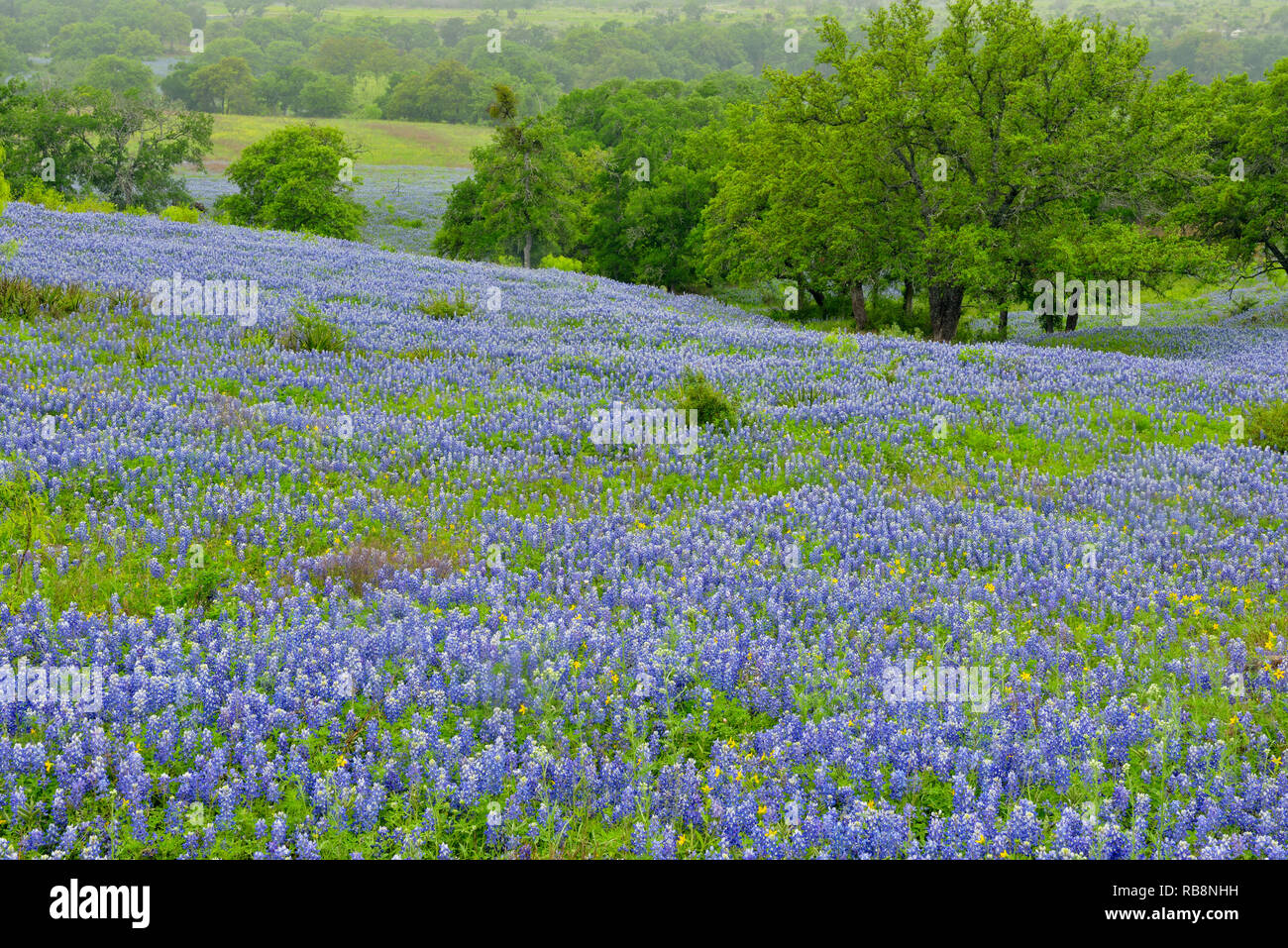 Burnet county hi-res stock photography and images - Alamy