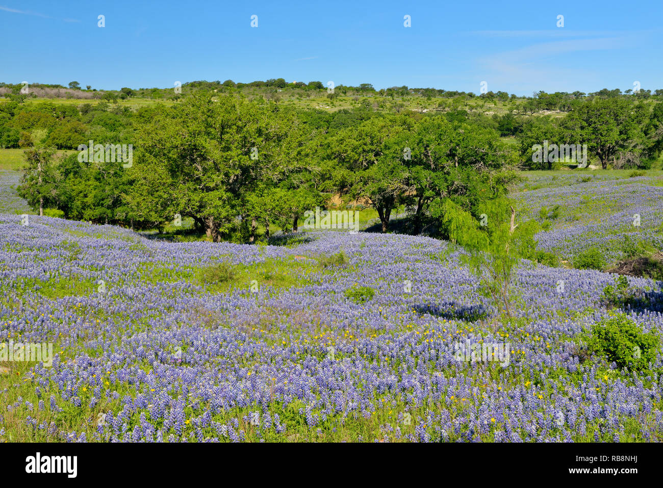 Burnet county hi-res stock photography and images - Alamy