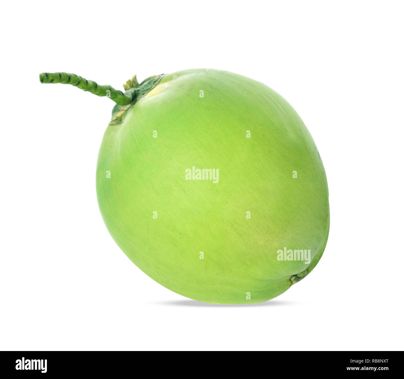 green coconut isolated on white background Stock Photo - Alamy