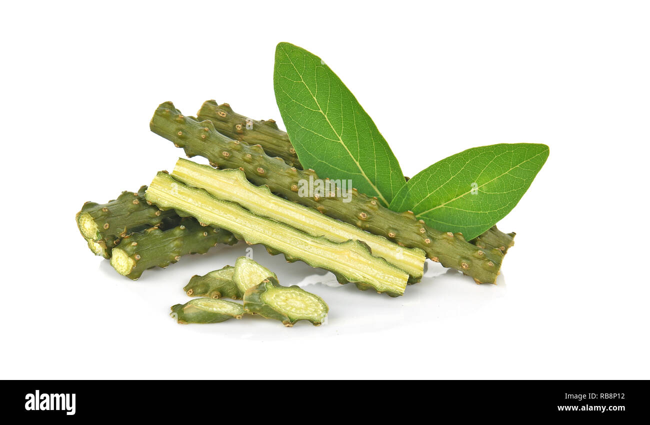 Tinospora cordifolia isolated on white background Stock Photo - Alamy