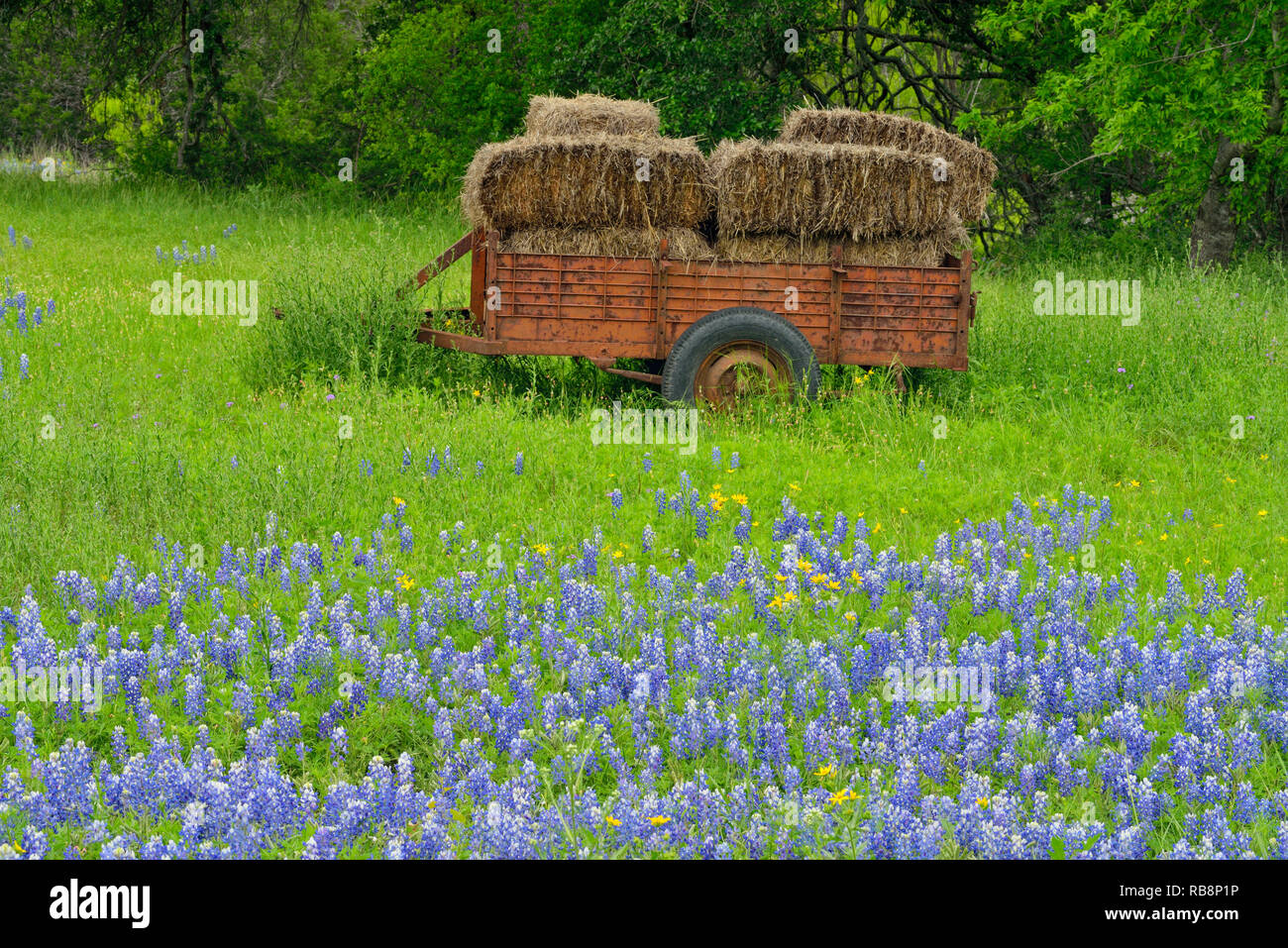 Burnet County High Resolution Stock Photography and Images - Alamy