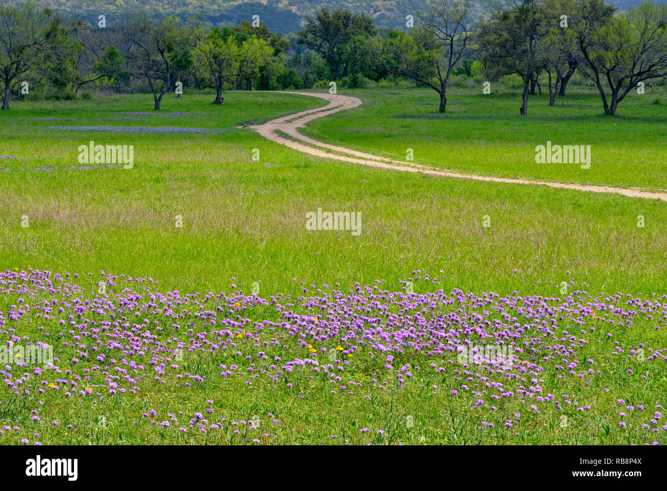 Prairie ranch hi-res stock photography and images - Alamy