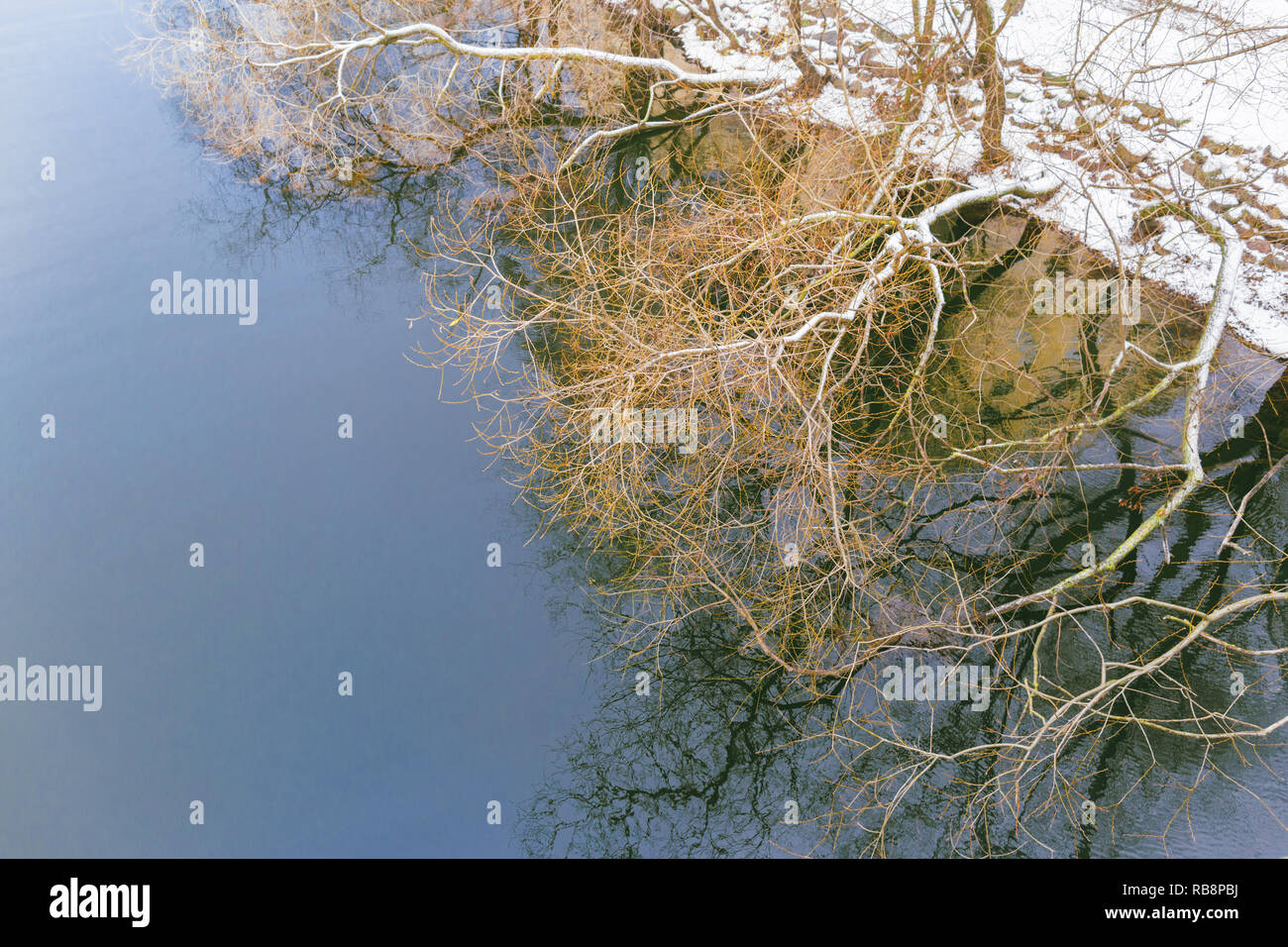 Angled trees hi-res stock photography and images - Alamy