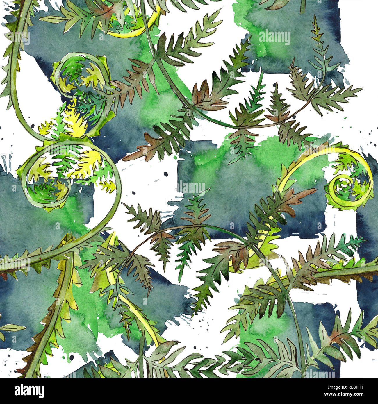 Fern green leaf. Watercolor background illustration set. Seamless ...
