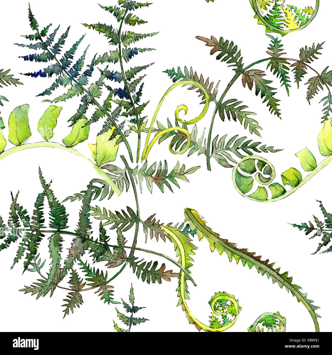 Fern green leaf. Watercolor background illustration set. Seamless ...