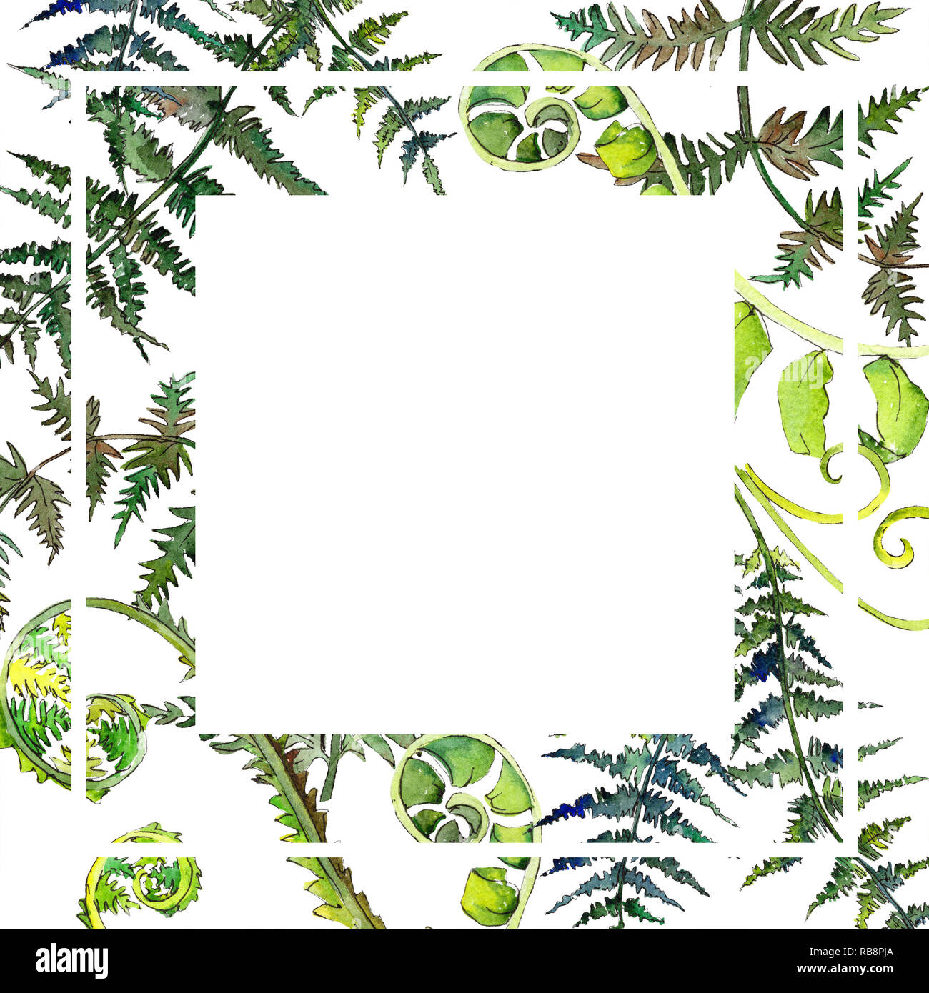 Fern green leaf. Watercolor background illustration set. Frame border ...