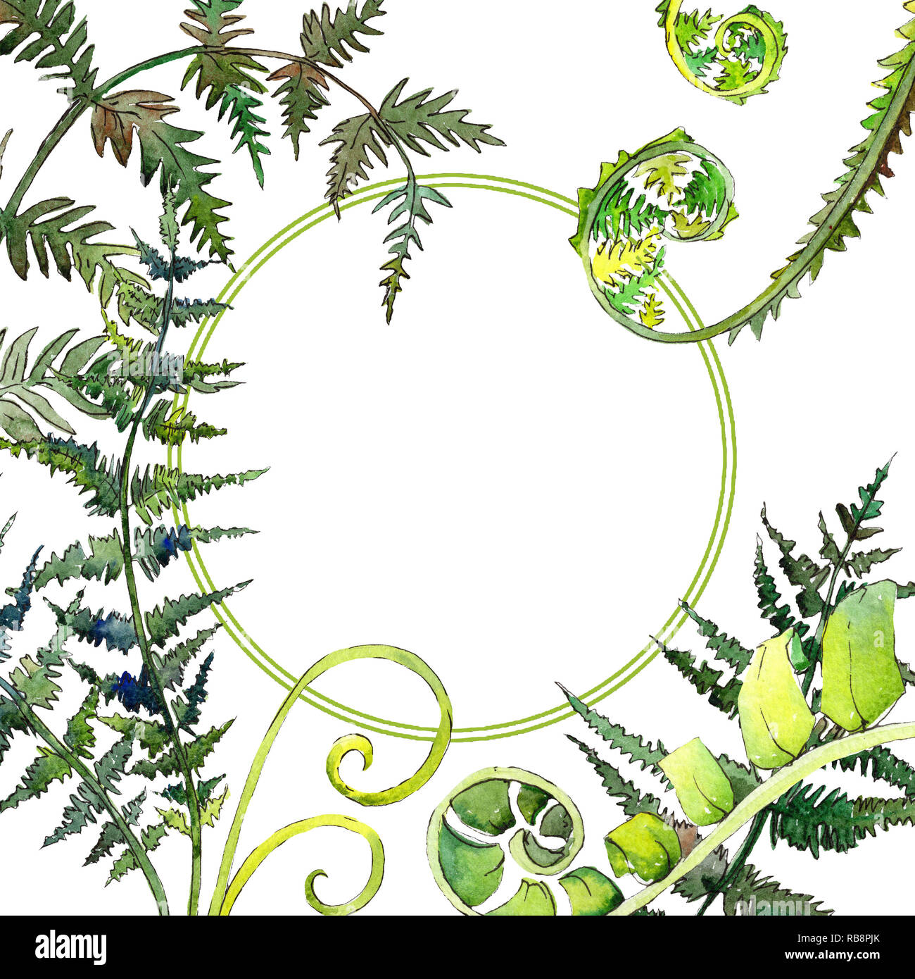 Fern green leaf. Watercolor background illustration set. Frame border ...