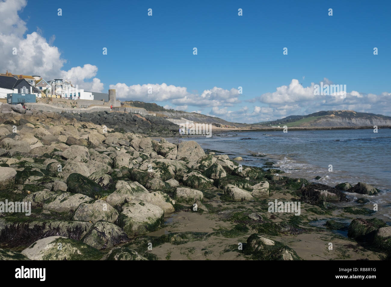 Rocks and sea at Lyme Regis Dorset Stock Photo - Alamy