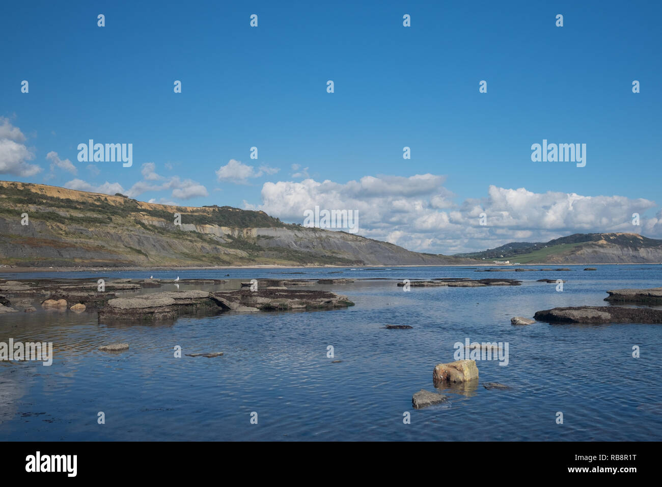 Rocks and sea at Lyme Regis Dorset Stock Photo - Alamy