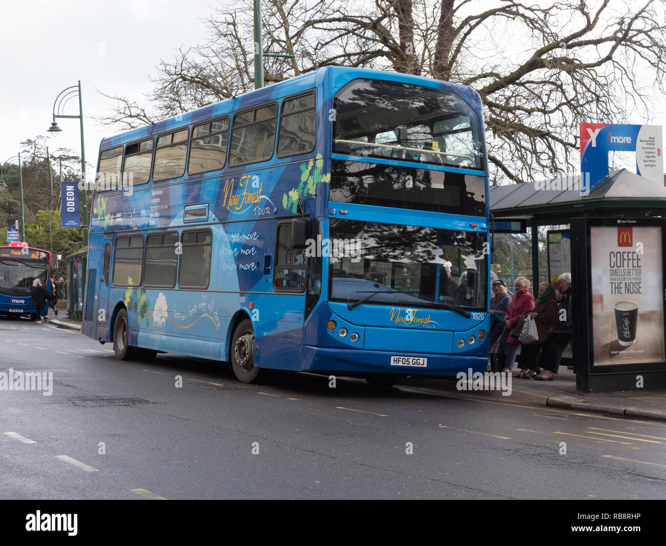 New Forest Tour bus in Bournemouth Stock Photo - Alamy