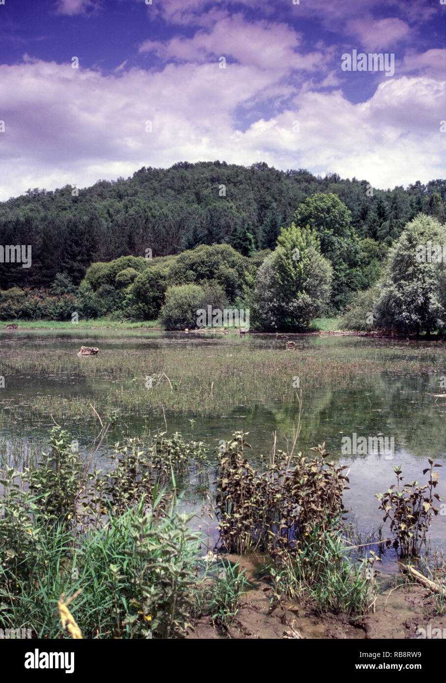 Jigsaw type photographs hi-res stock photography and images - Alamy