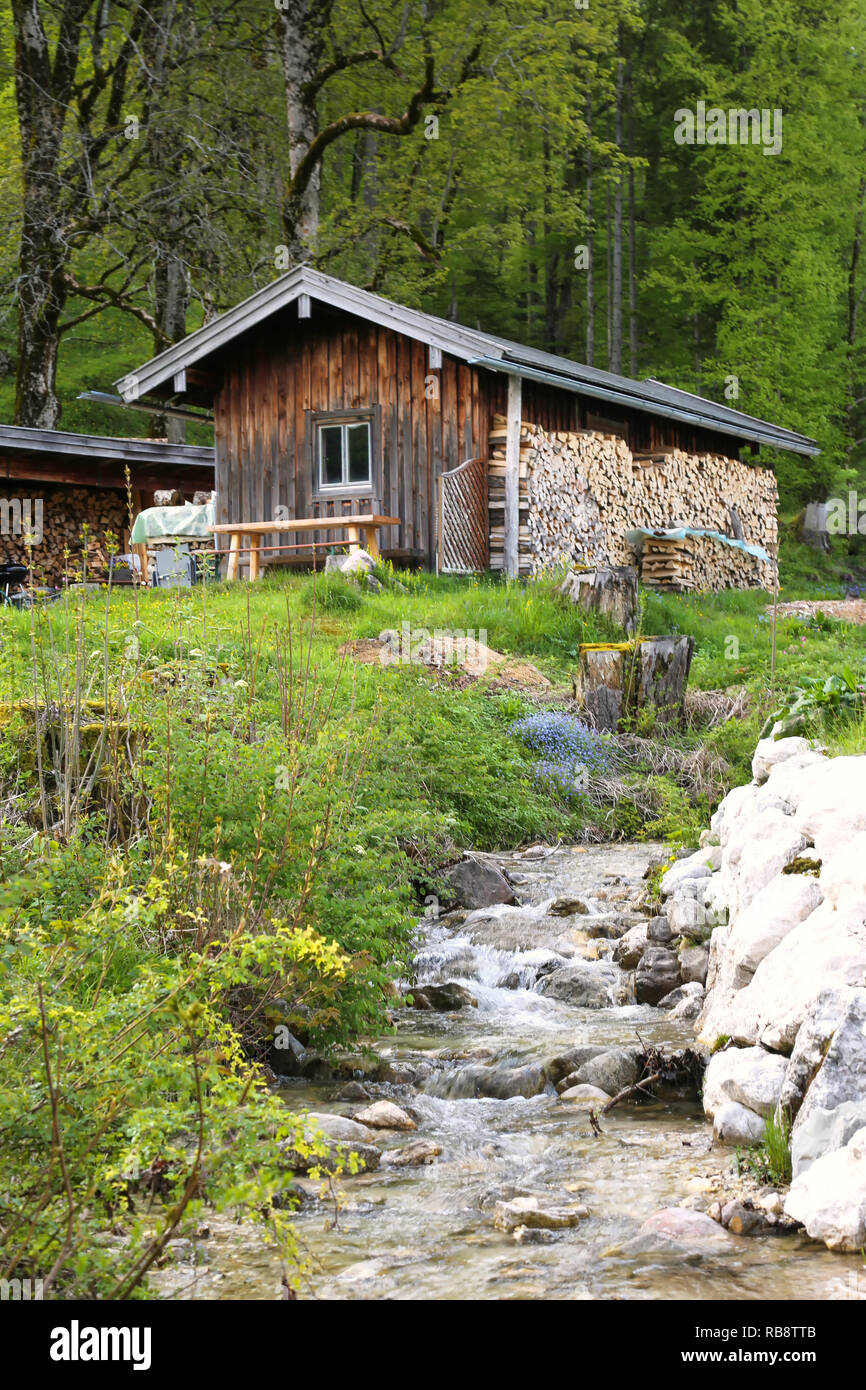 Wooden hut trees in forest architecture hi-res stock photography and ...