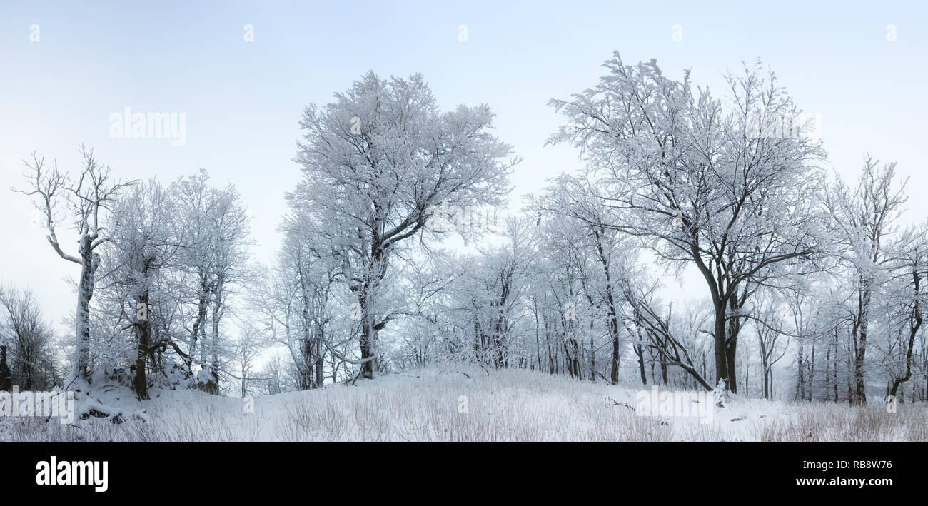 Frozen landscape - Winter mist forest Stock Photo - Alamy