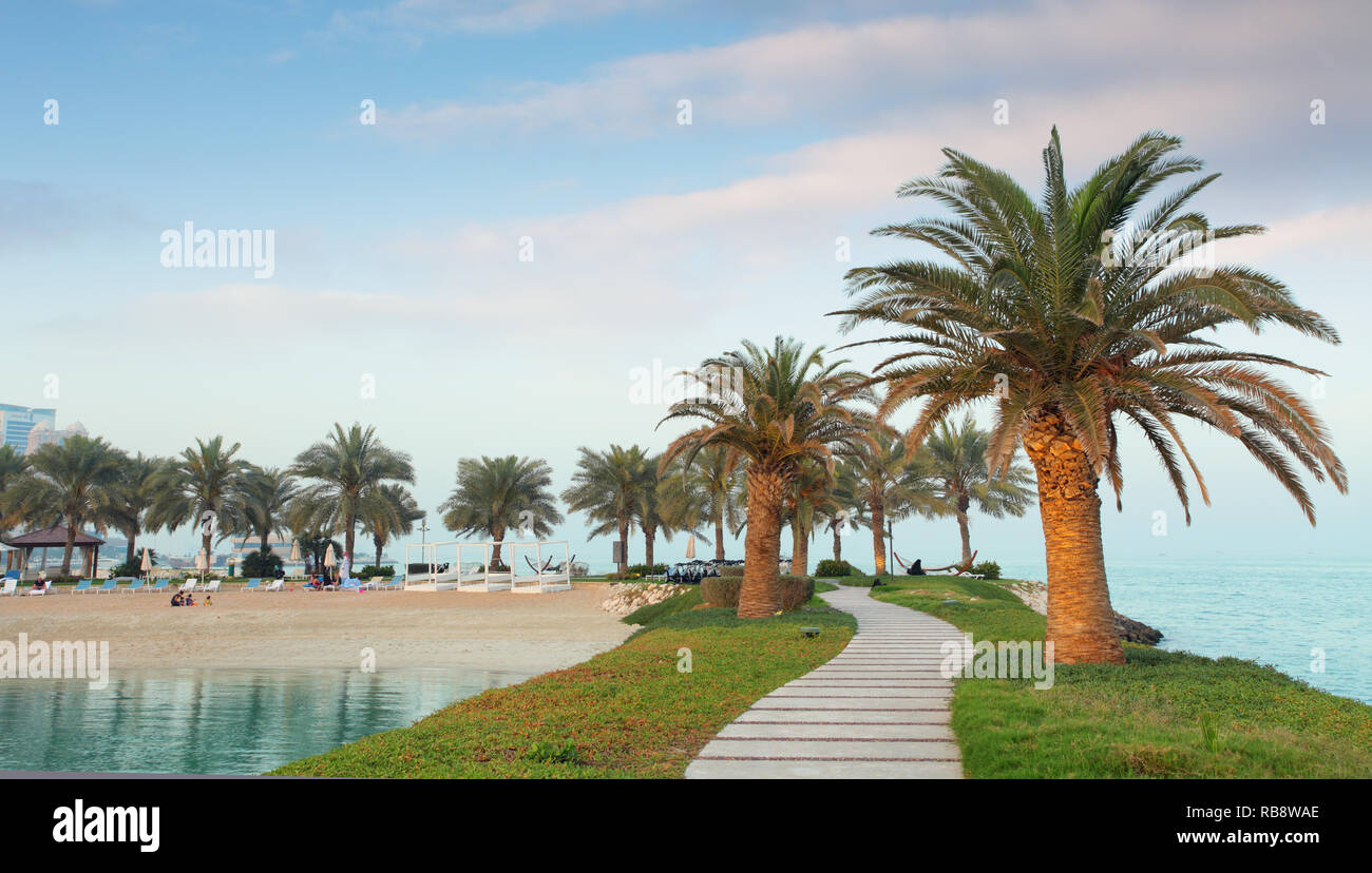 Corniche doha qatar palm tree hi-res stock photography and images - Alamy