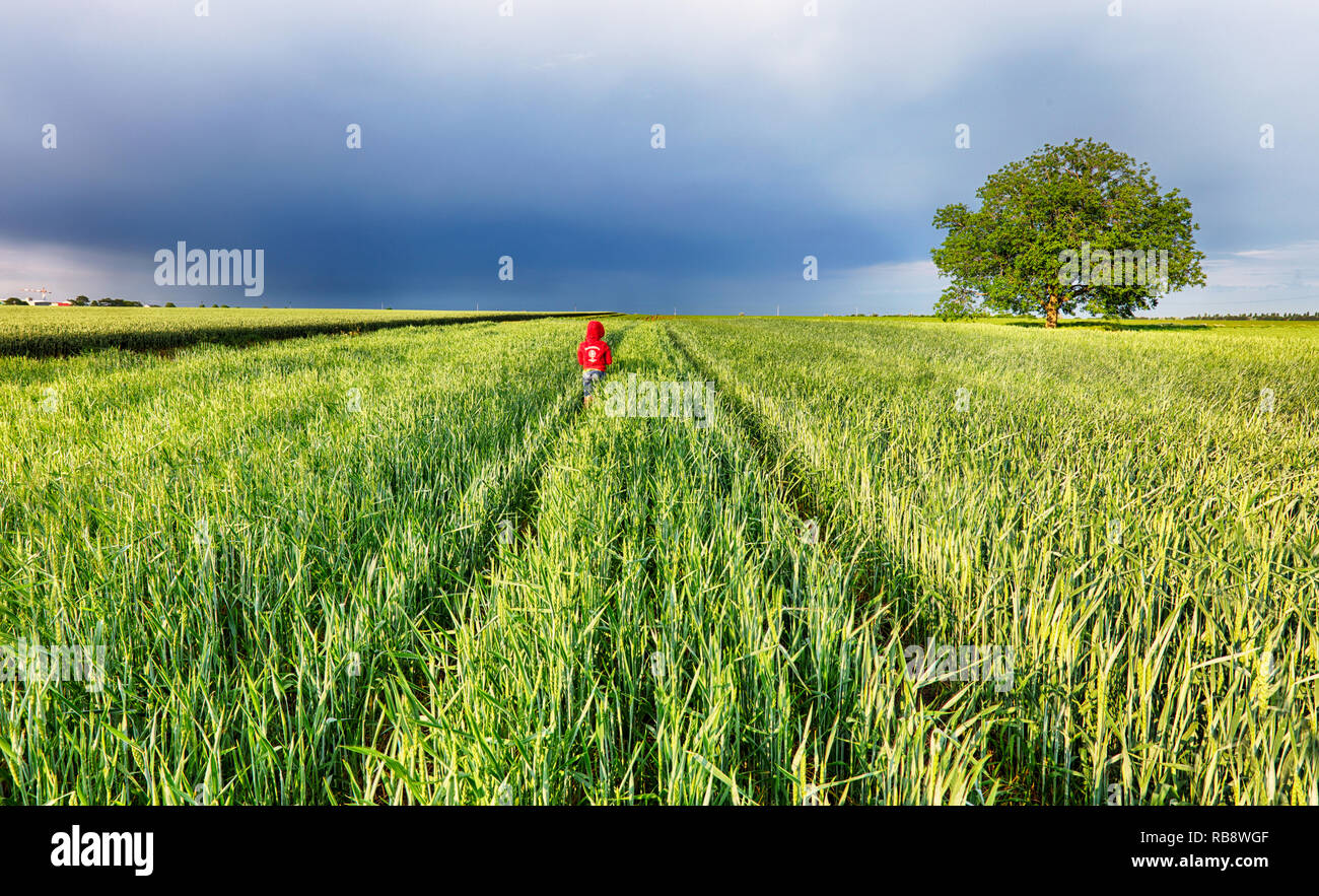 Beautiful spring rural landscape with tree and small man Stock Photo ...