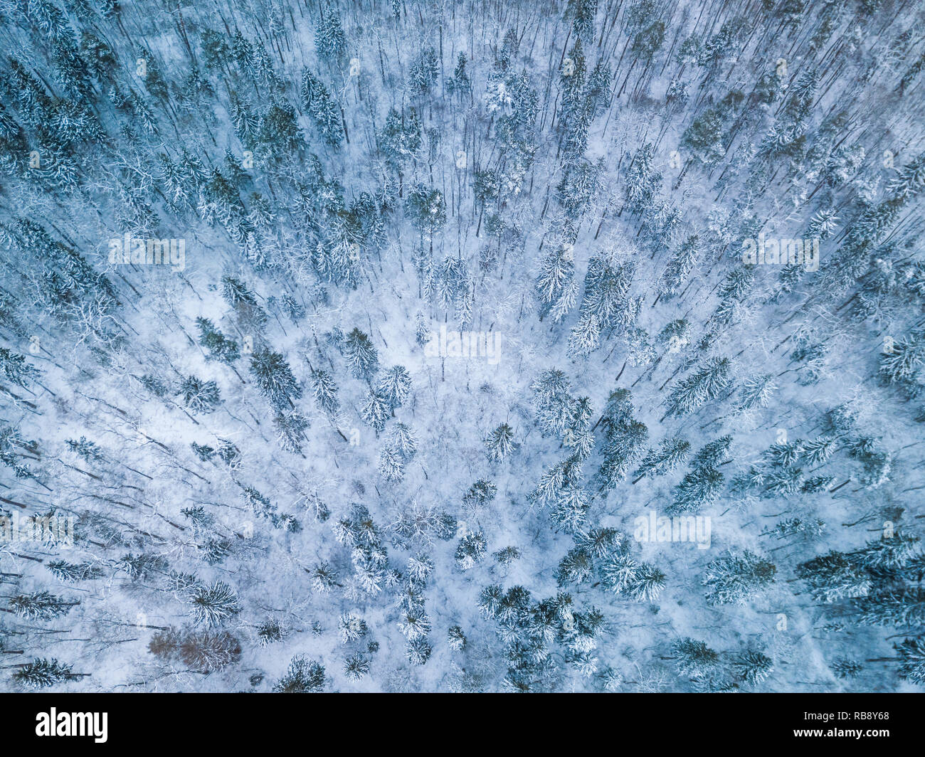 Background texture of a frozen forest at winter, aerial shot Stock ...