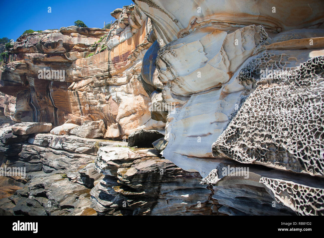 Sydney sandstone rock erosion hi-res stock photography and images - Alamy