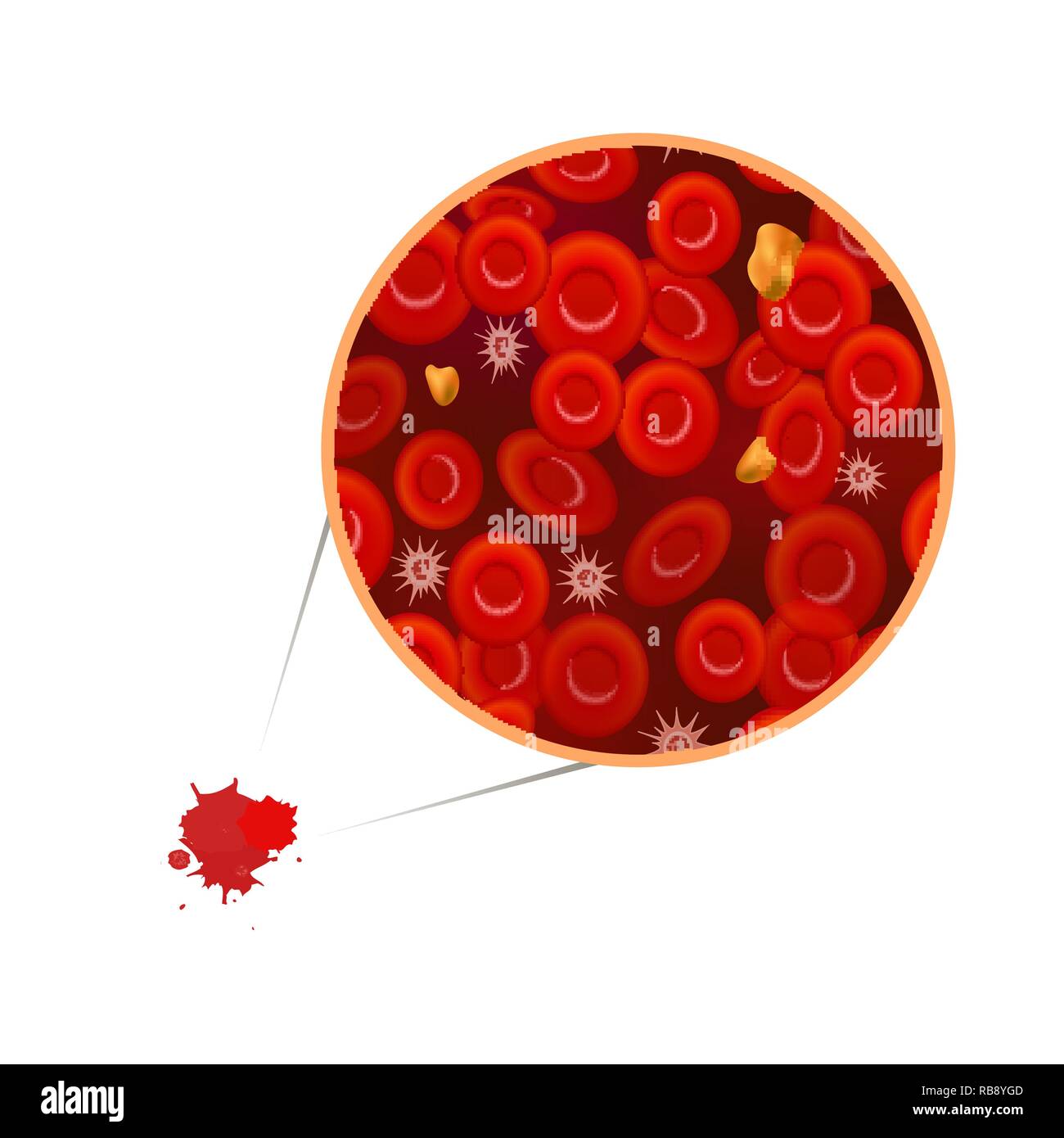 Erythrocytes with white blood cells and cholesterol, blood composition ...