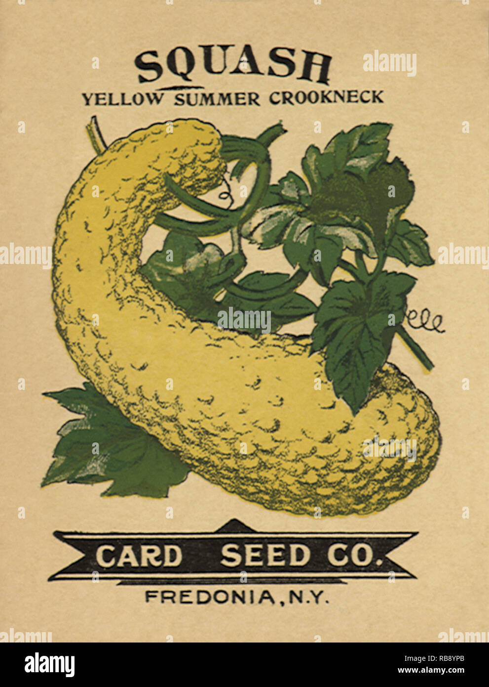 Seed packet plant label hi-res stock photography and images - Alamy