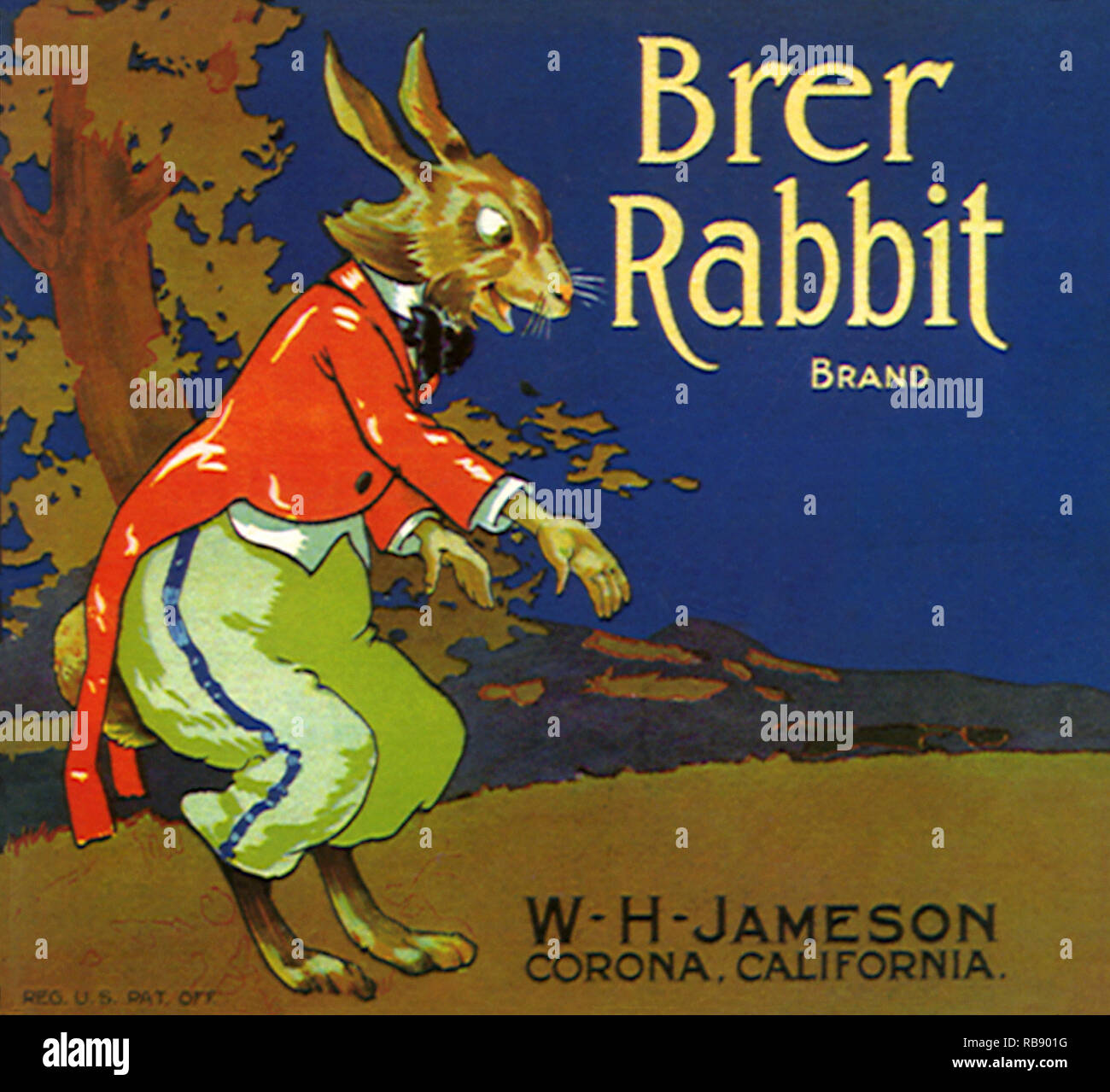 Rabbit with Orange Stock Photo - Alamy