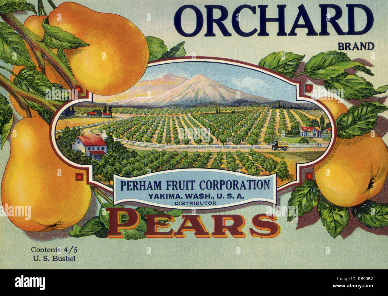 Vintage pear illustration hi-res stock photography and images - Alamy