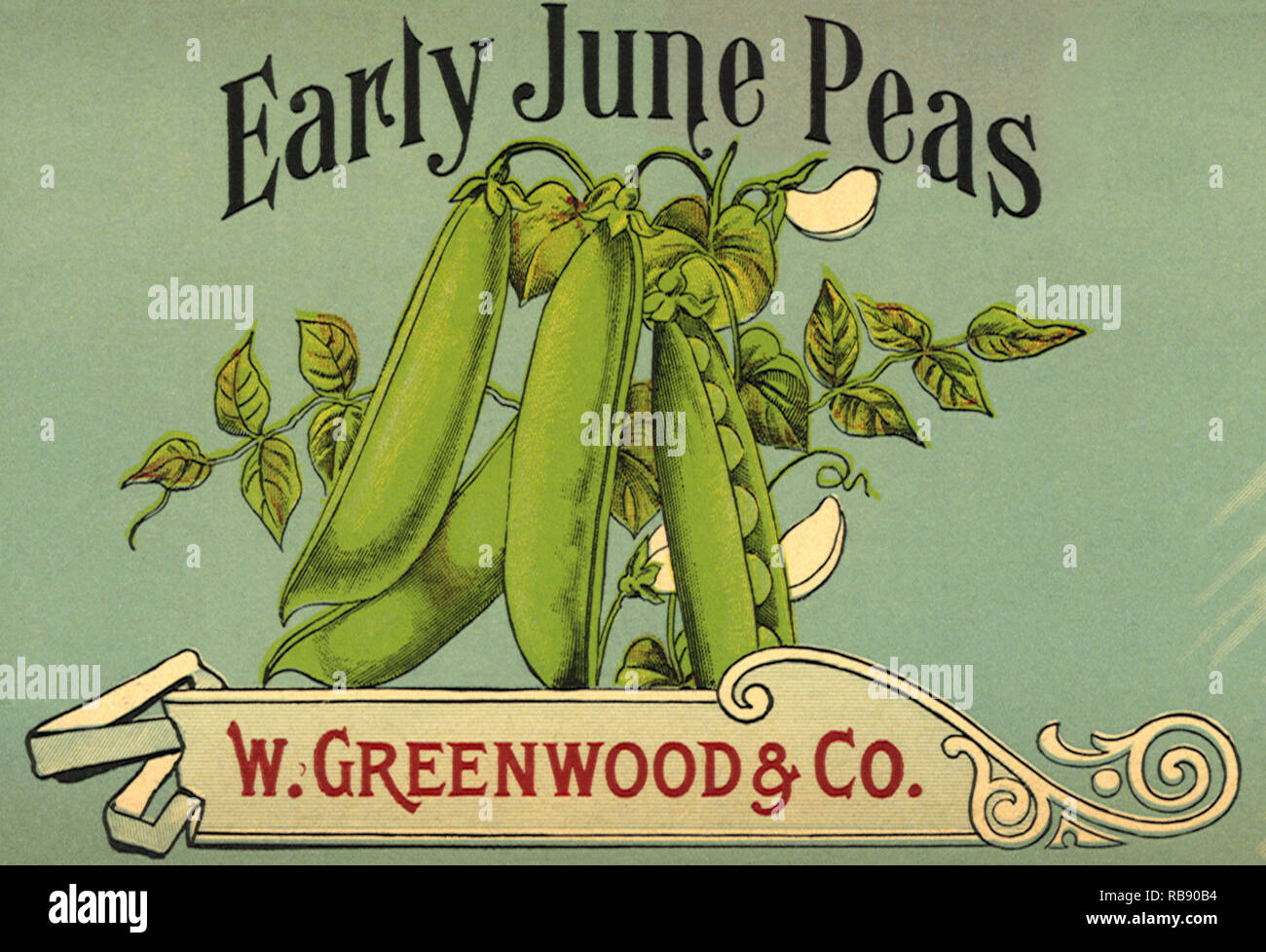 Peas in Pods Label Stock Photo - Alamy