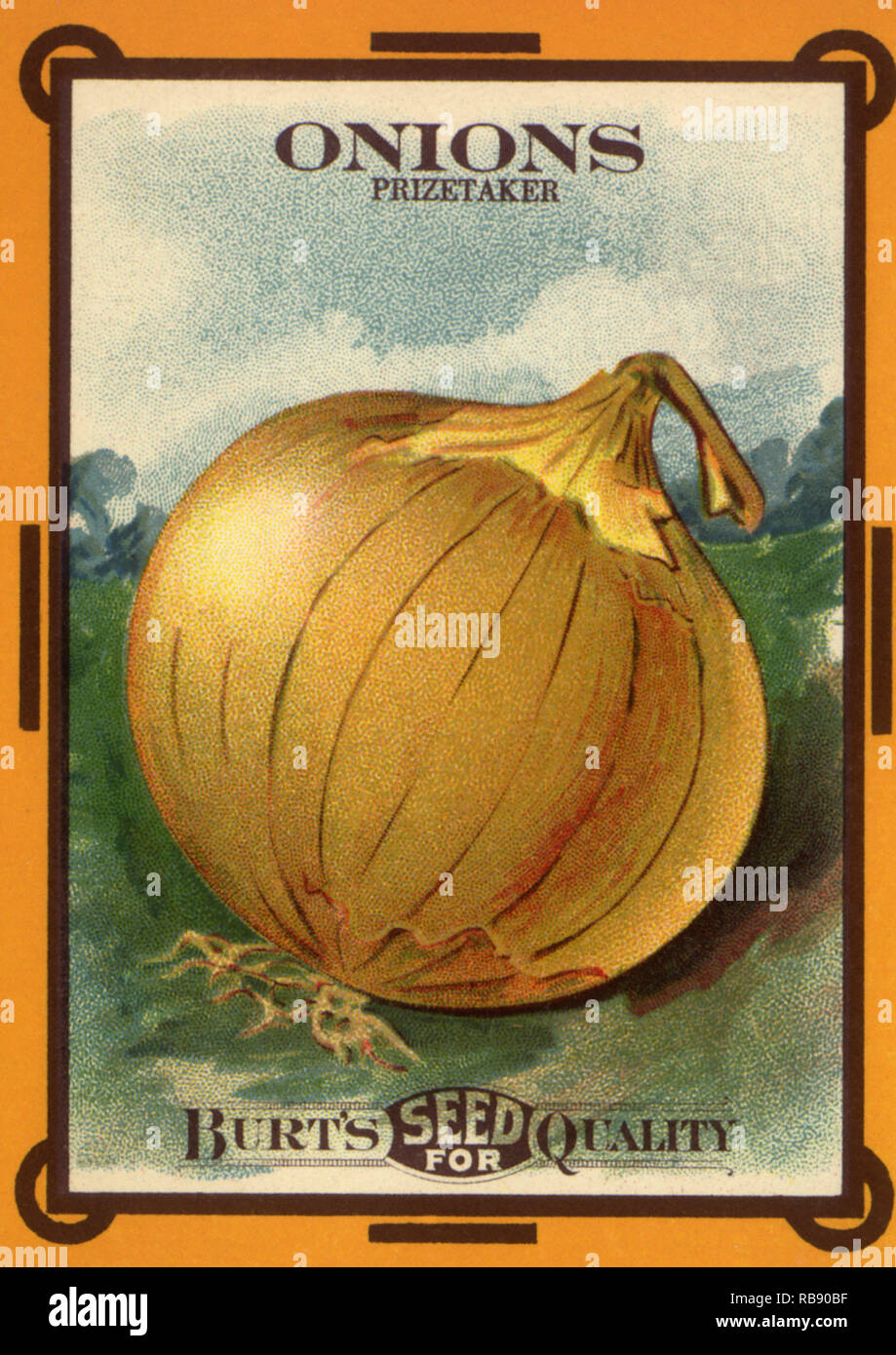 Onion Seed Packet Stock Photo - Alamy