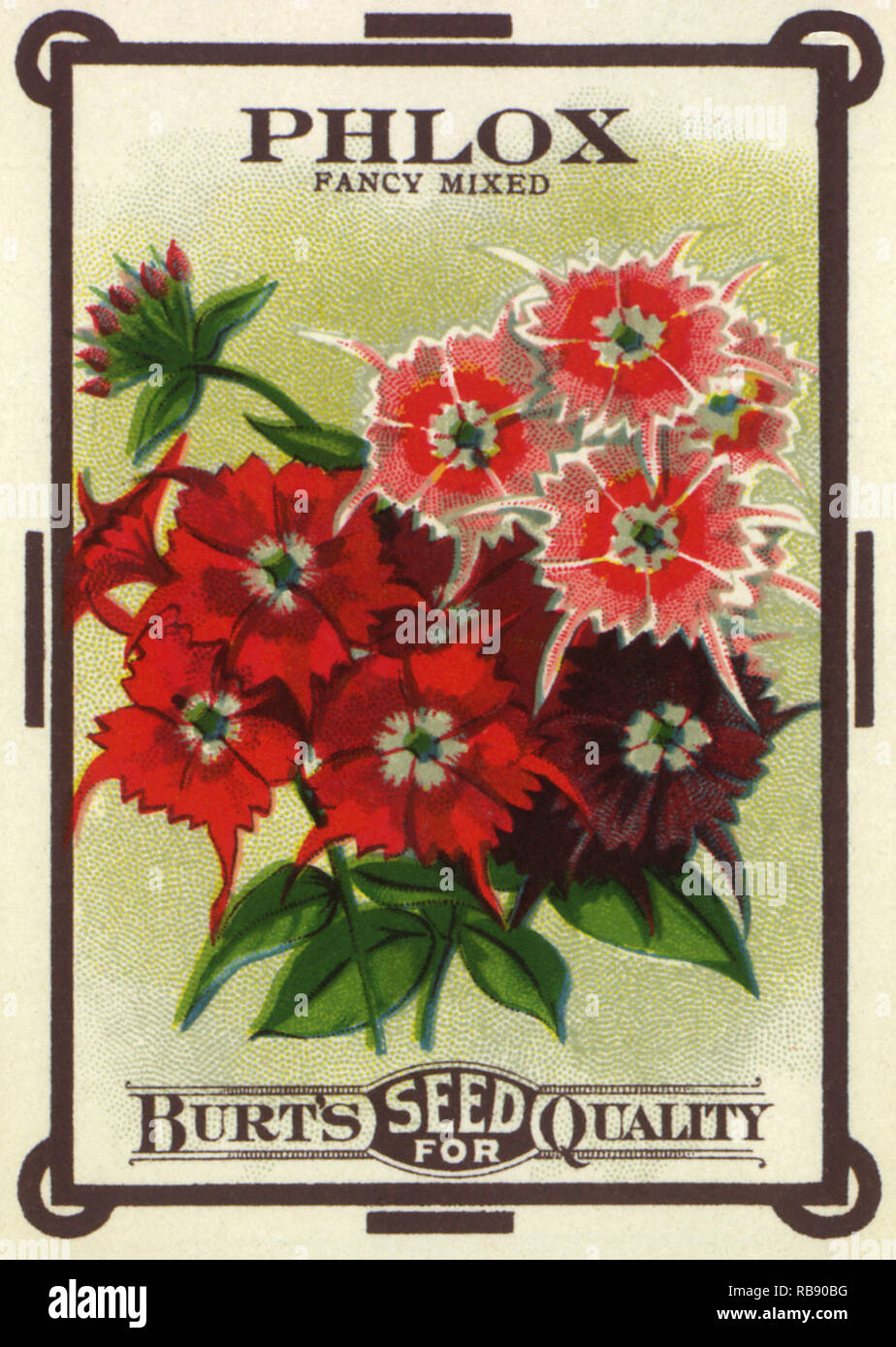 Floral Seed Packet Stock Photo - Alamy