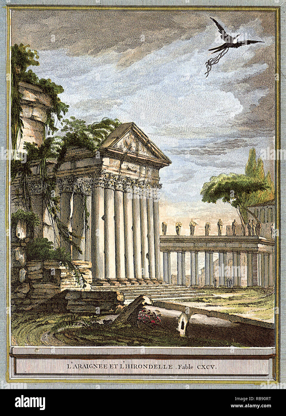 Roman spider hi-res stock photography and images - Alamy