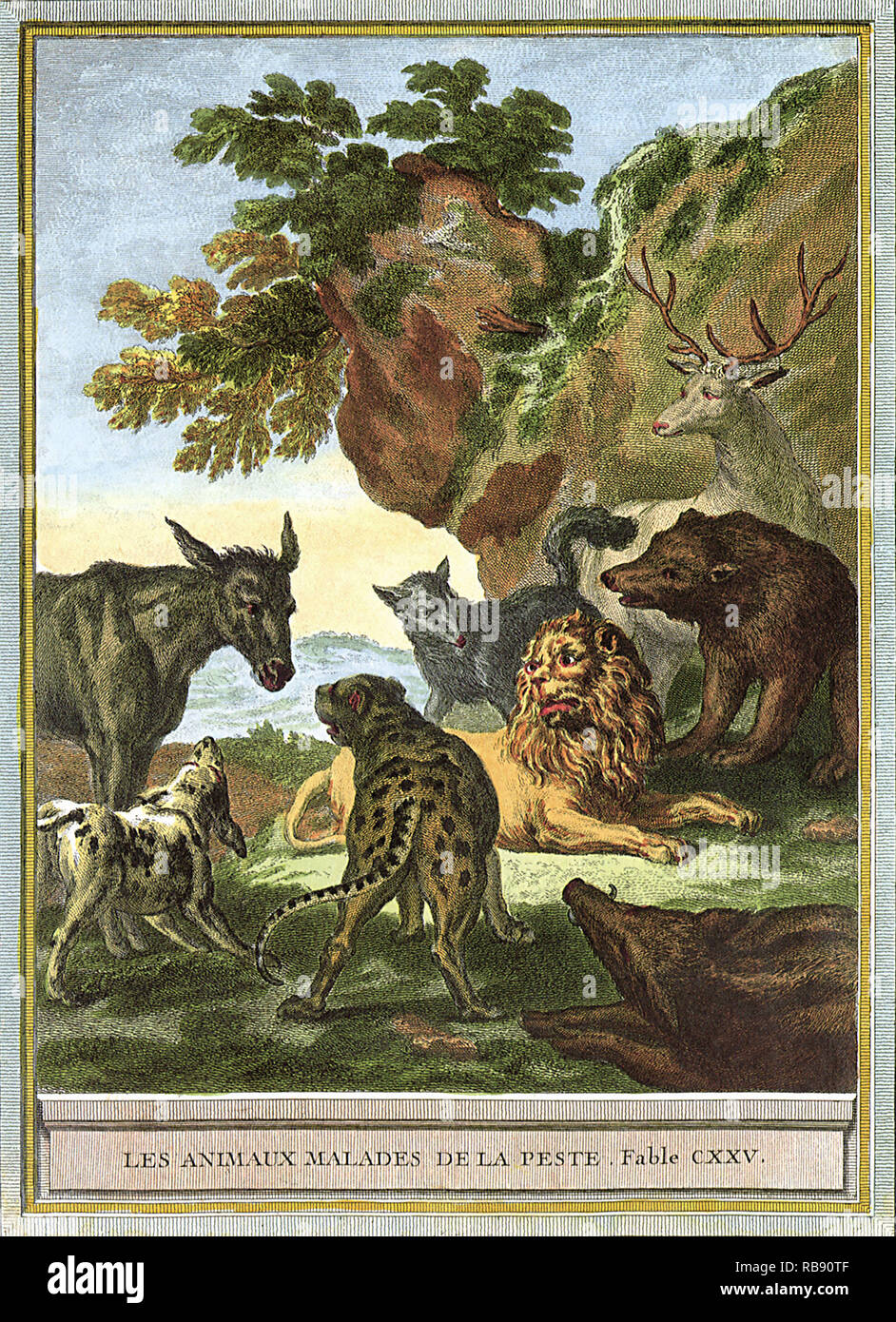 Sick animals hi-res stock photography and images - Alamy